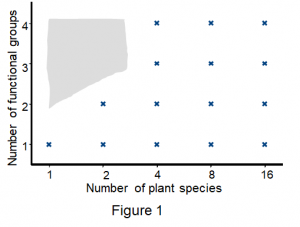 Main Experiment – The Jena Experiment